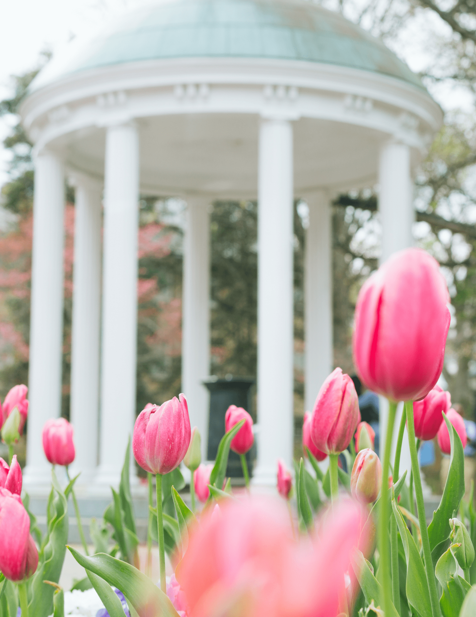 Compass College Advisory